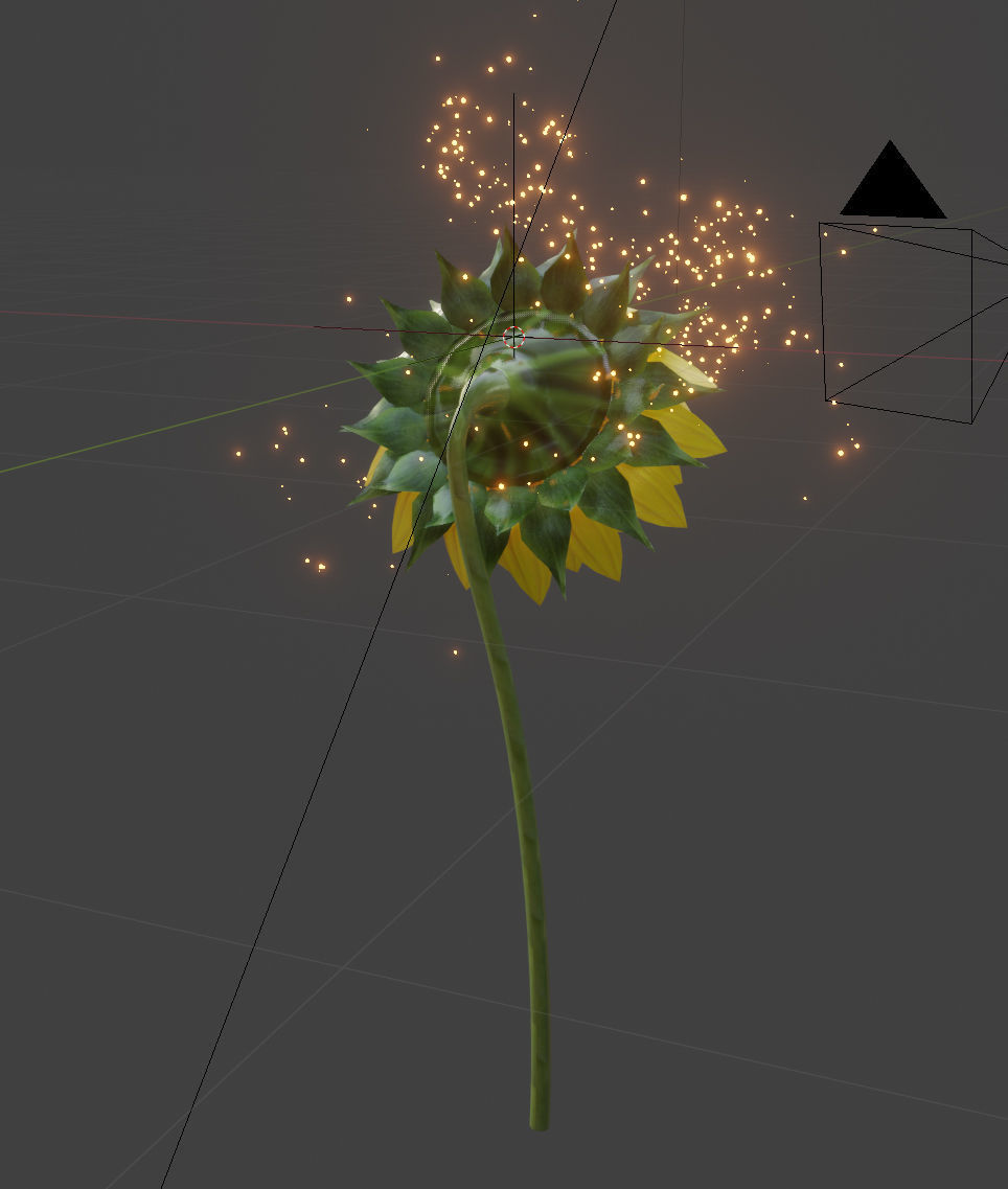 sunflower 3D model animated rigged | CGTrader