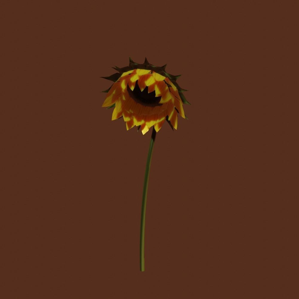 sunflower 3D model animated rigged | CGTrader