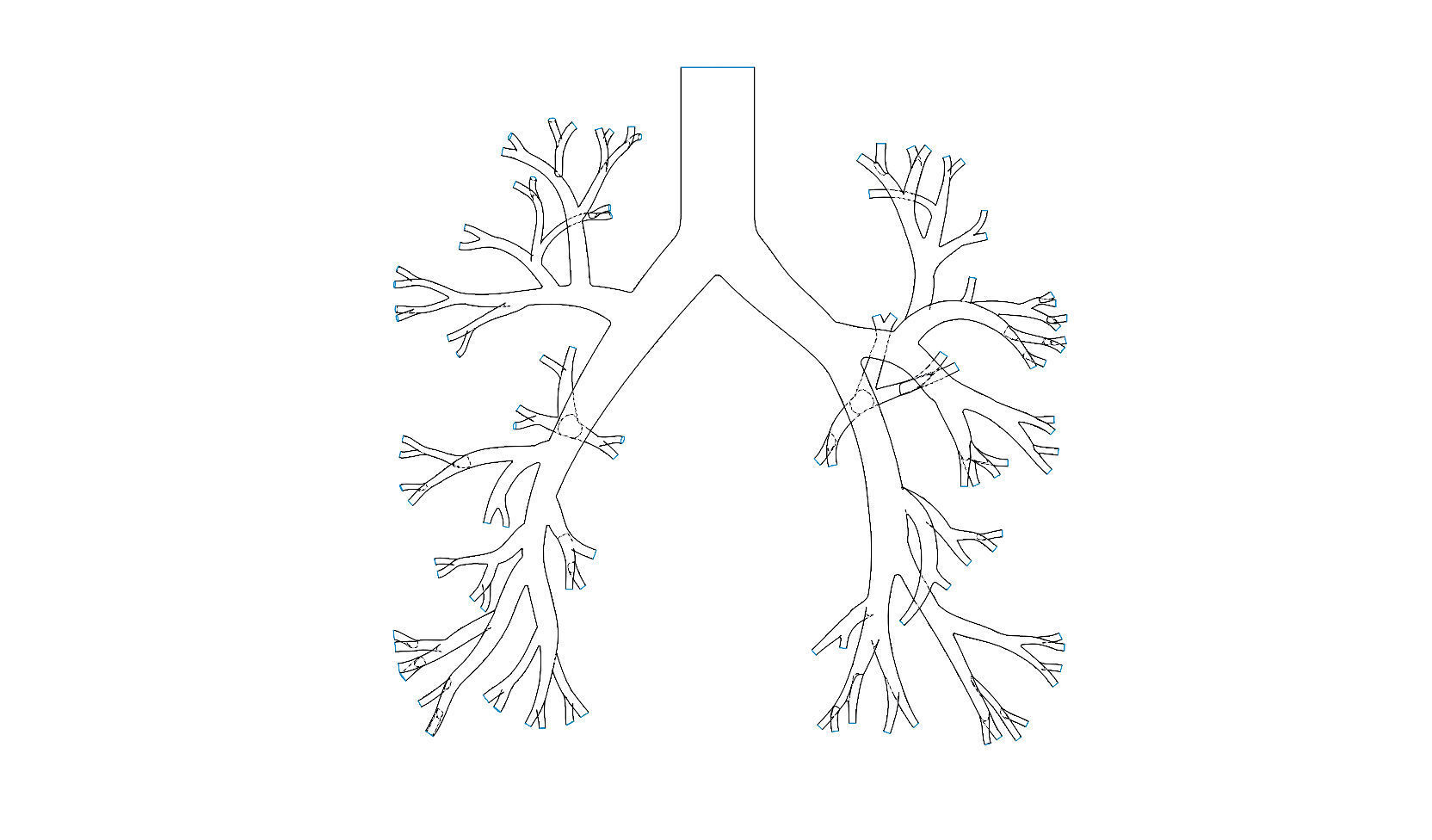 Bronchial tree 3d model for 3d printing CFD and FEA 3D model 3D ...