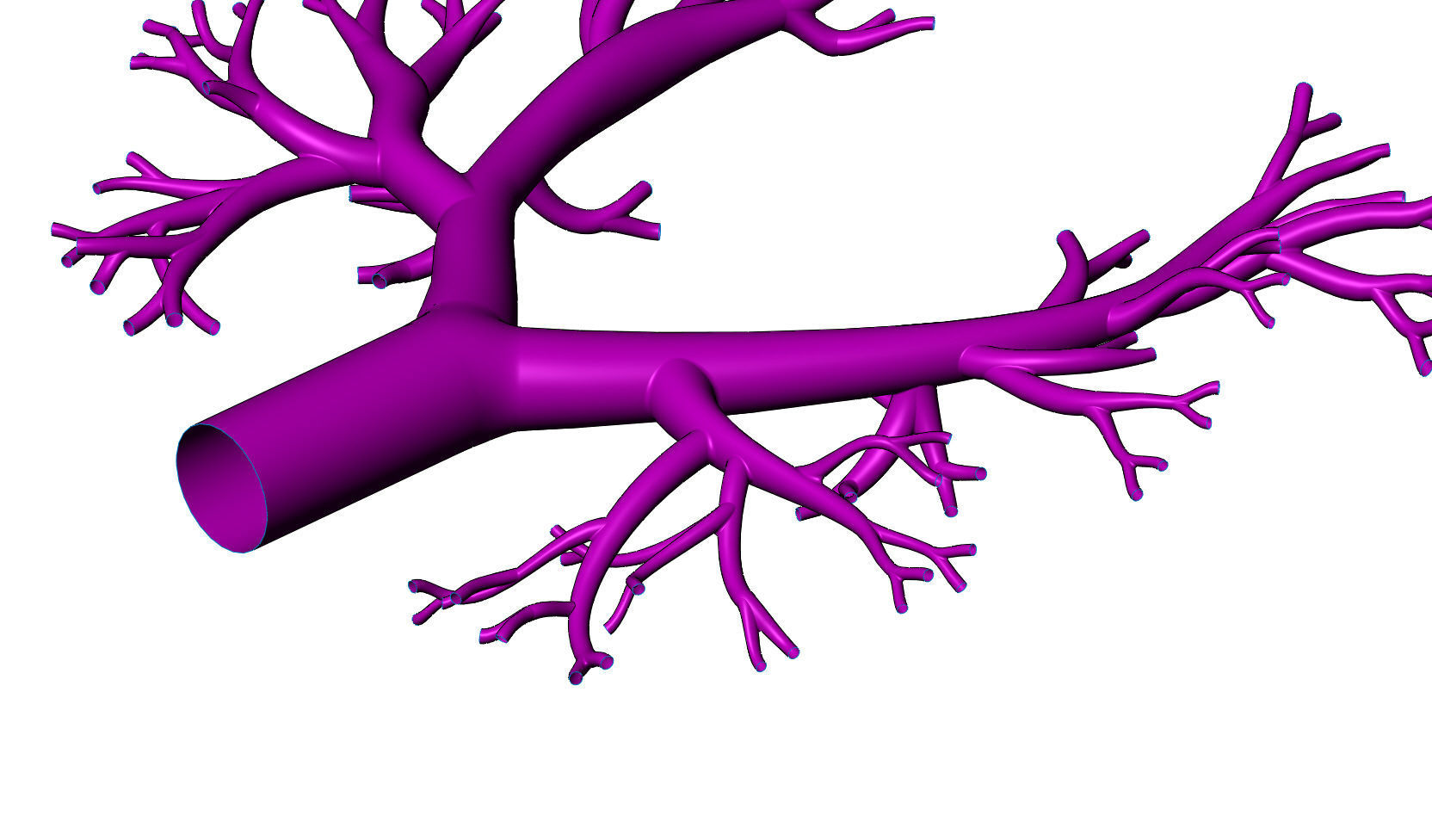 Bronchial tree 3d model for 3d printing CFD and FEA 3D model 3D ...