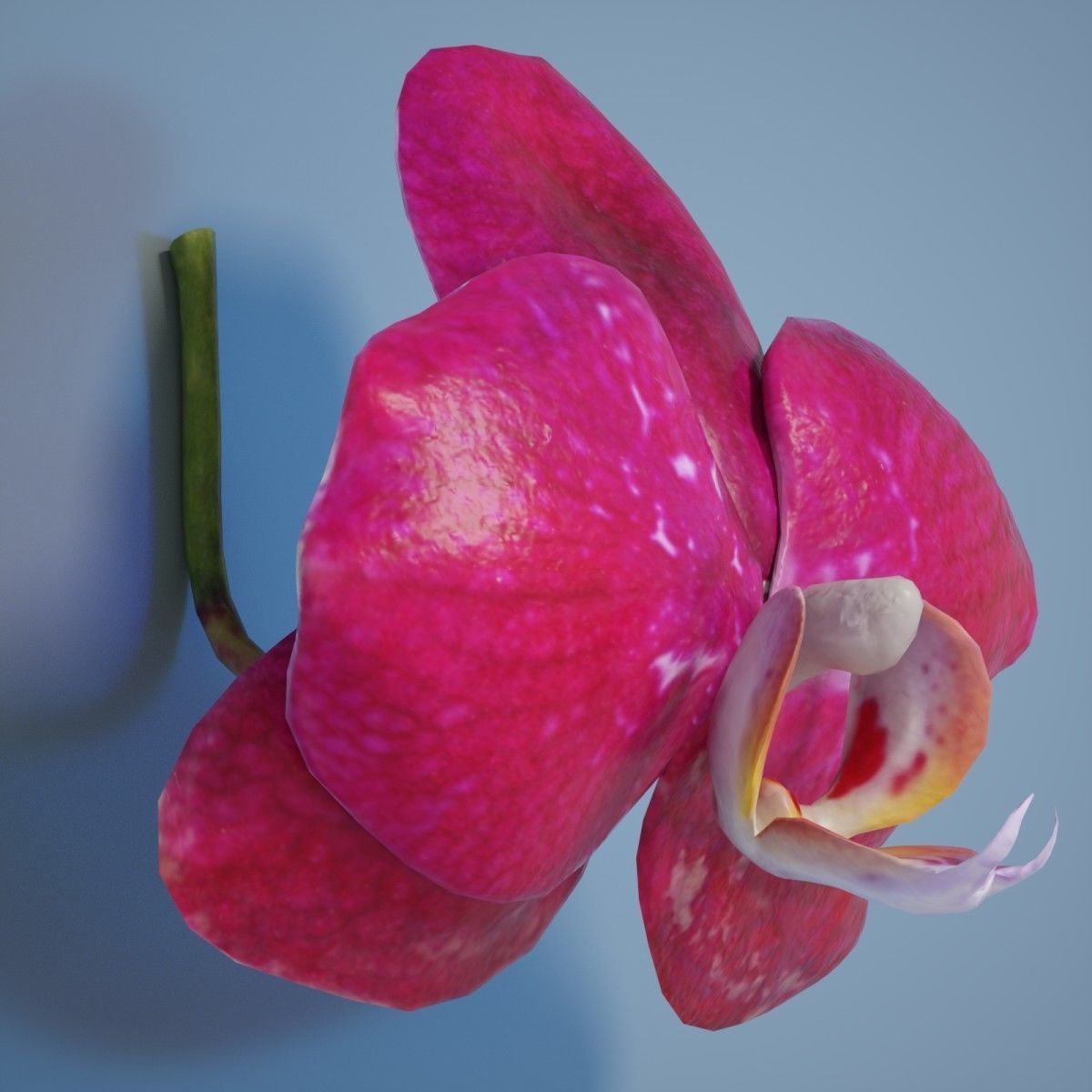 3D model Orchid 2 flower VR / AR / low-poly | CGTrader