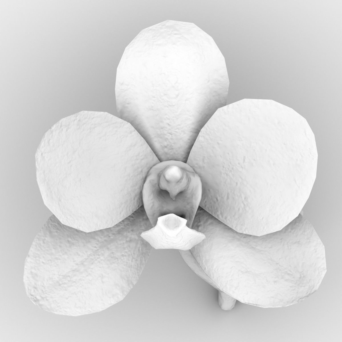 3D model Orchid 4 VR / AR / low-poly | CGTrader