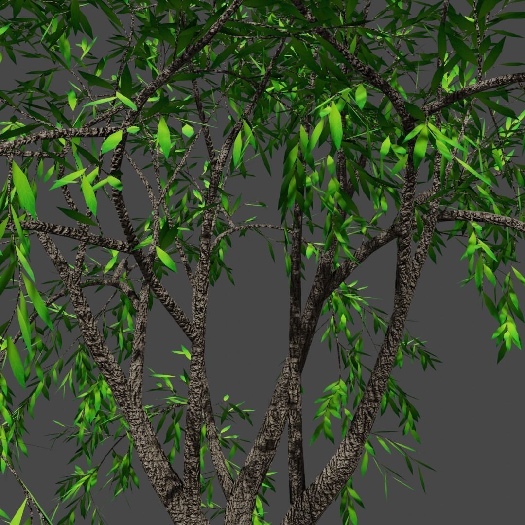 3D model Sampling tree 11 VR / AR / low-poly | CGTrader