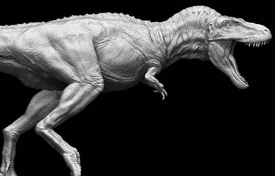 Daspletosaurus Rex statue with base 3D model | CGTrader