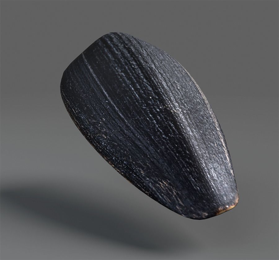 3D model Cracked Sunflower Seed Low-poly 3D model VR / AR / low-poly ...
