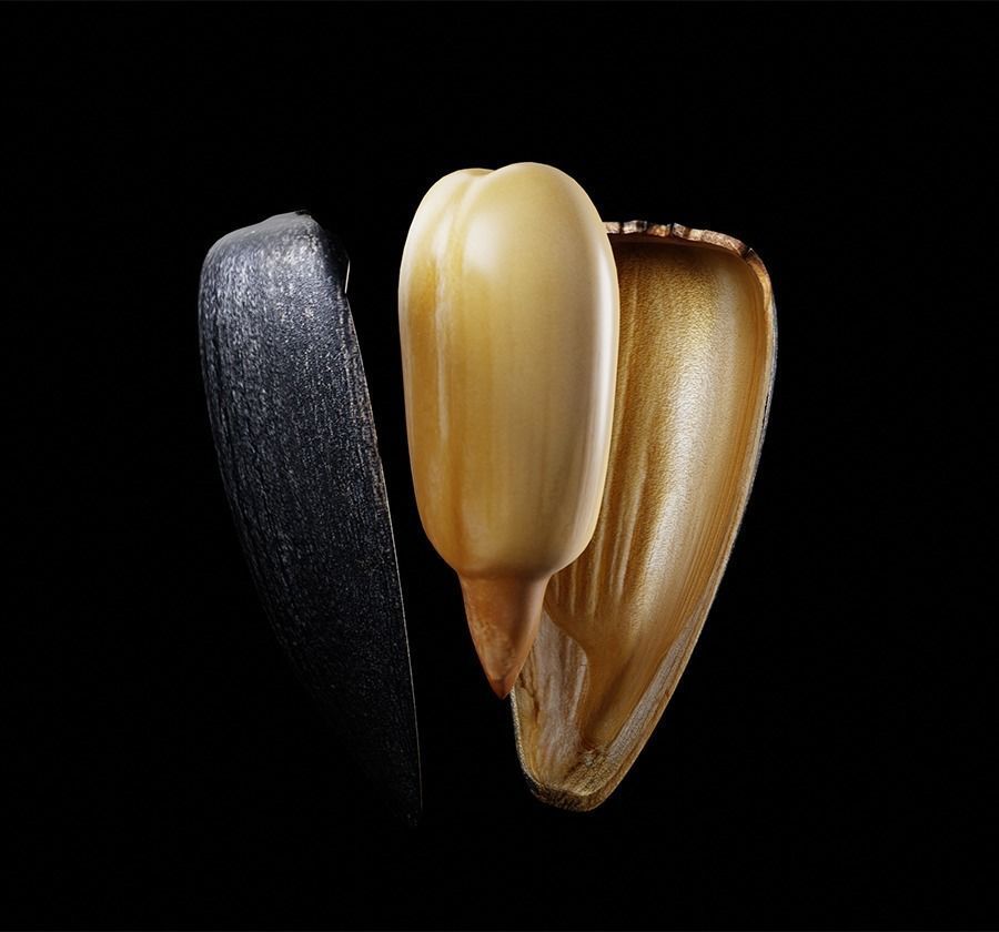 3D model Cracked Sunflower Seed Low-poly 3D model VR / AR / low-poly ...