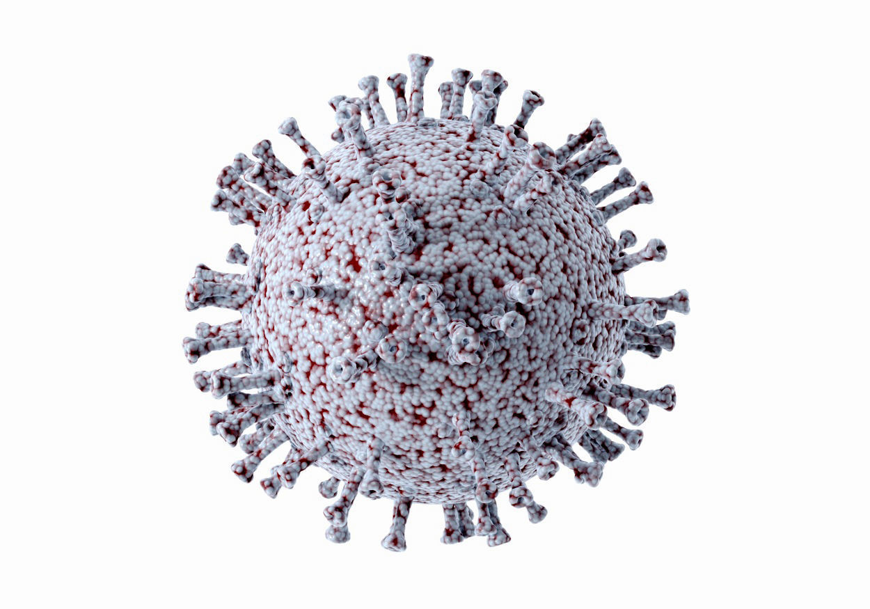Coronavirus n-cov 2019 model with blood cells pandemic free 3D model ...