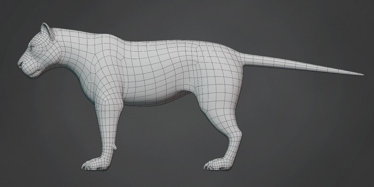3D model Base Meshes Animal Starter Kit 1 VR / AR / low-poly | CGTrader