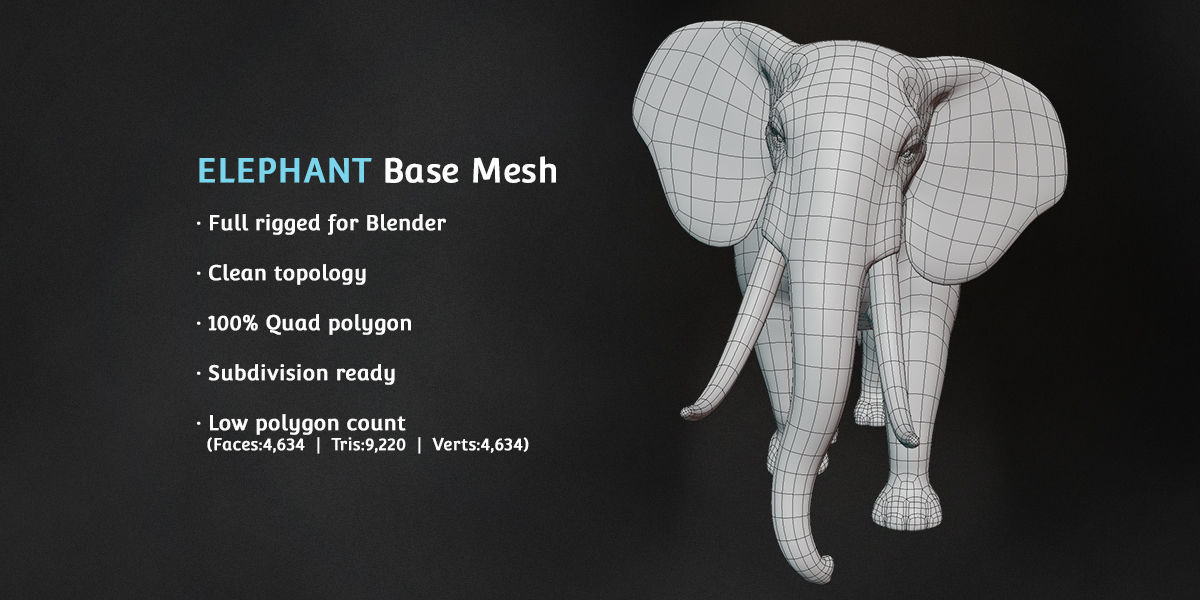 3D model Base Meshes Animal Starter Kit 1 VR / AR / low-poly | CGTrader
