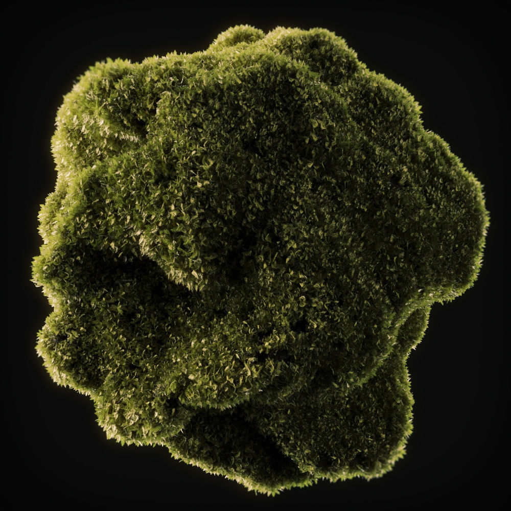 3D model Moss Low Poly 7 VR / AR / low-poly | CGTrader