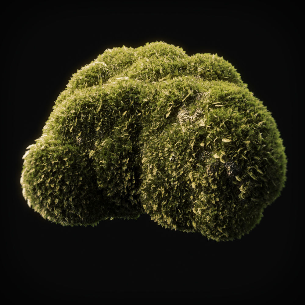 3D model Moss Low Poly 8 VR / AR / low-poly | CGTrader