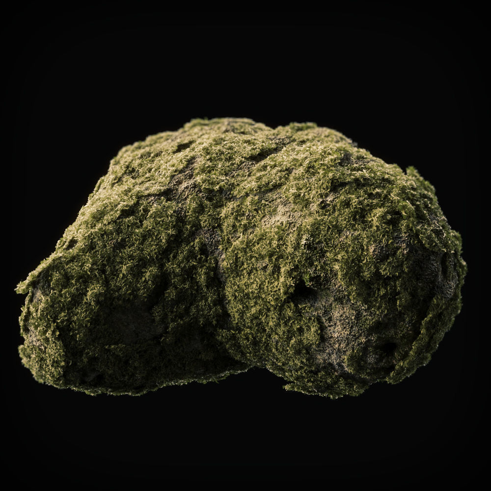 3D model Moss Low Poly 12 VR / AR / low-poly | CGTrader