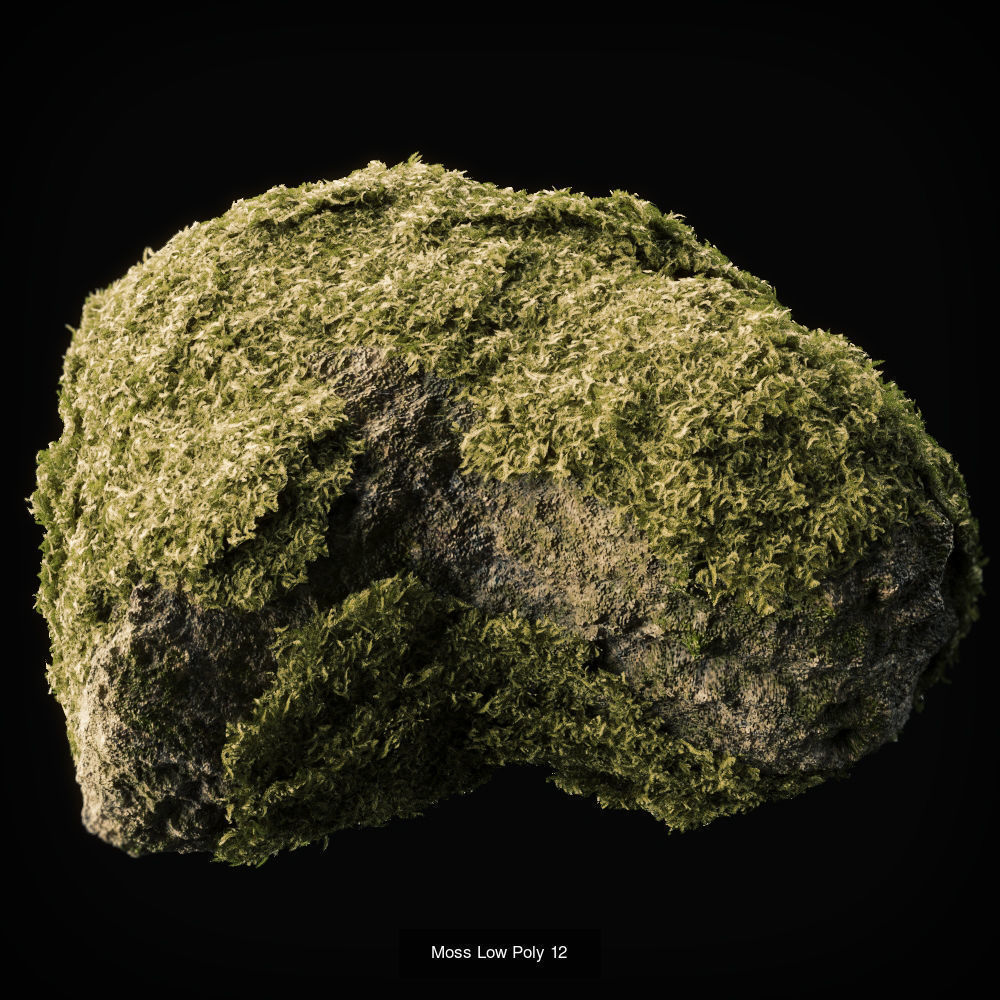 3D Model Collection Moss Pack Low Poly VR / AR / low-poly | CGTrader