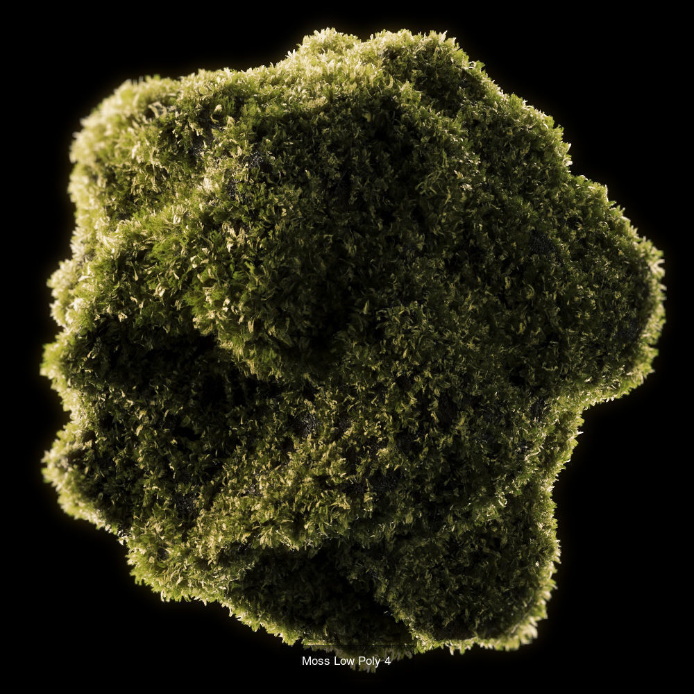 3D Model Collection Moss Pack Low Poly VR / AR / low-poly | CGTrader