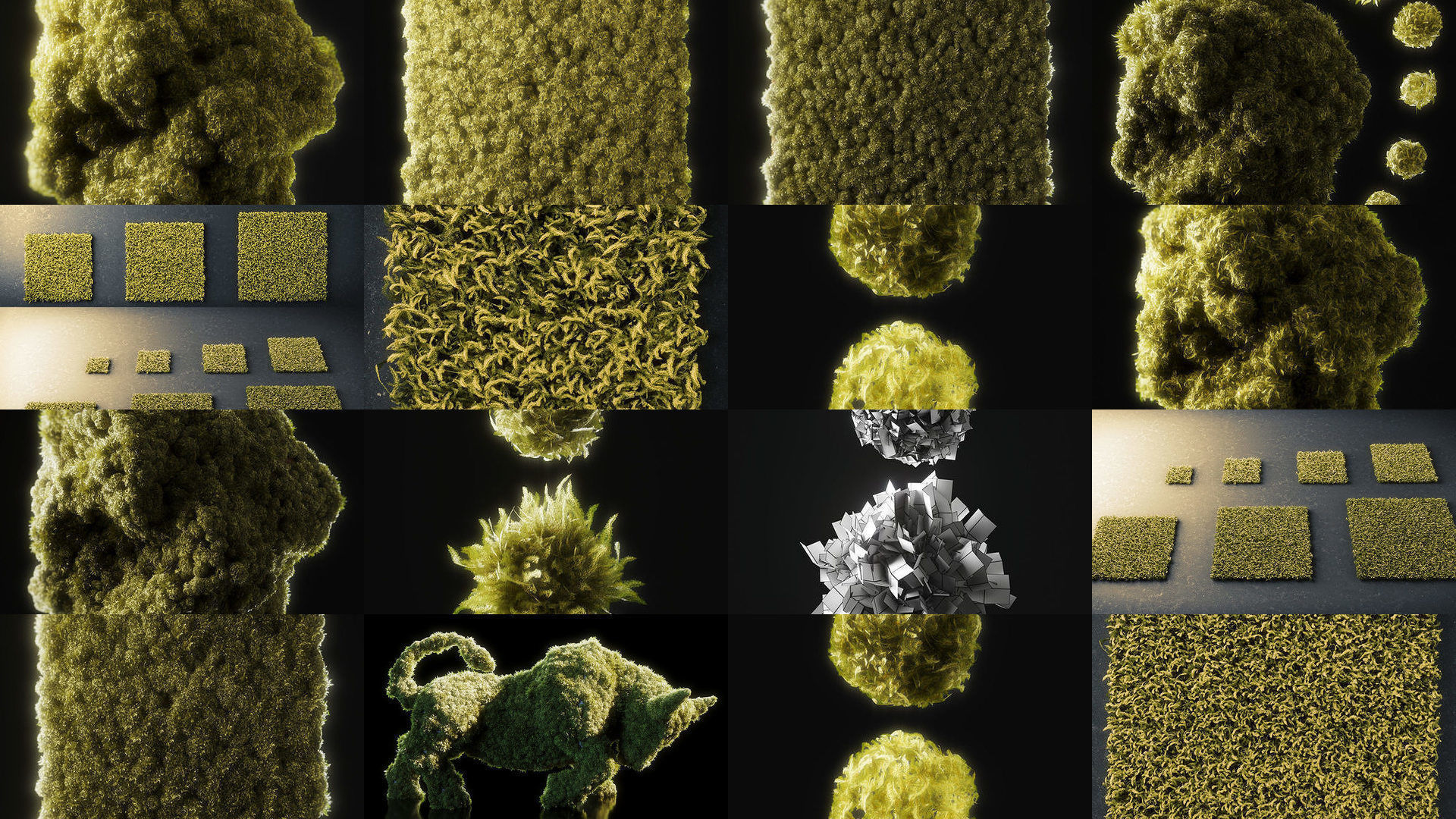 3D Model Collection Moss Pack Low Poly VR / AR / low-poly | CGTrader