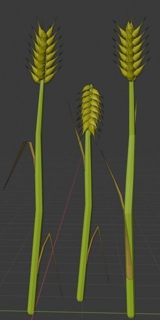 Lowpoly wheat model plant free VR / AR / low-poly 3D model | CGTrader