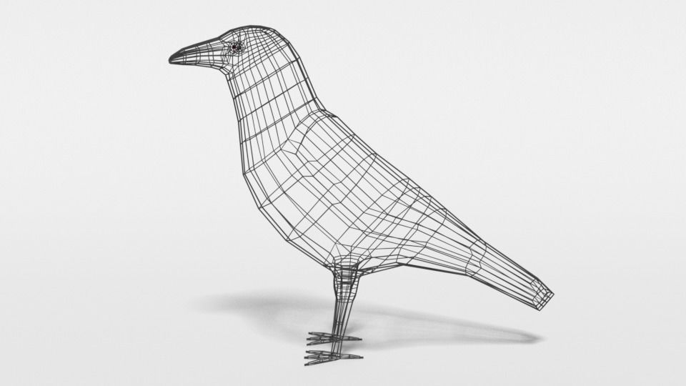 3D model Low Poly Cartoon Crow VR / AR / low-poly | CGTrader