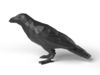 3D model Crow Low Poligonal VR / AR / low-poly | CGTrader
