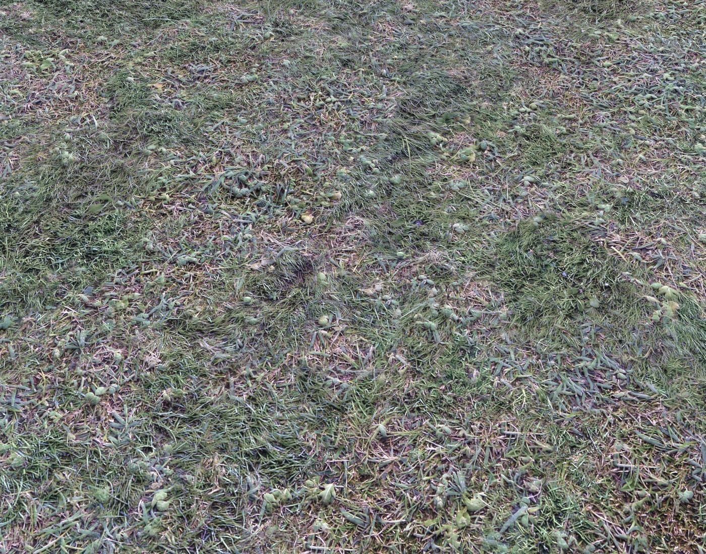 Dark grass textures Texture | CGTrader