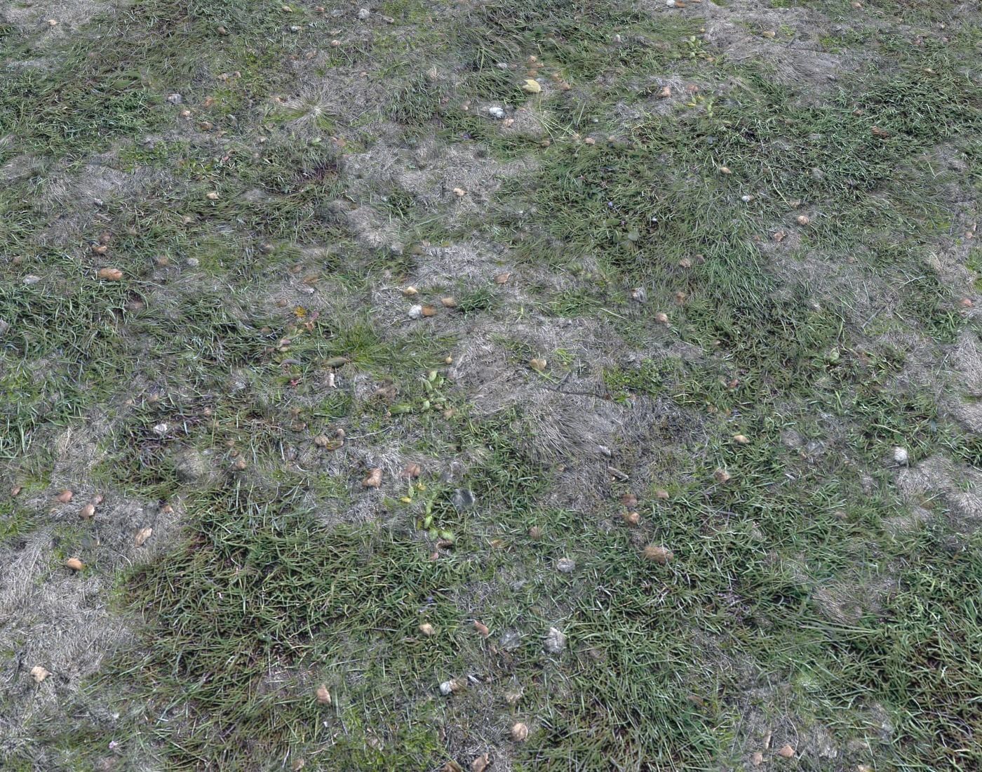 Dark grass textures Texture | CGTrader
