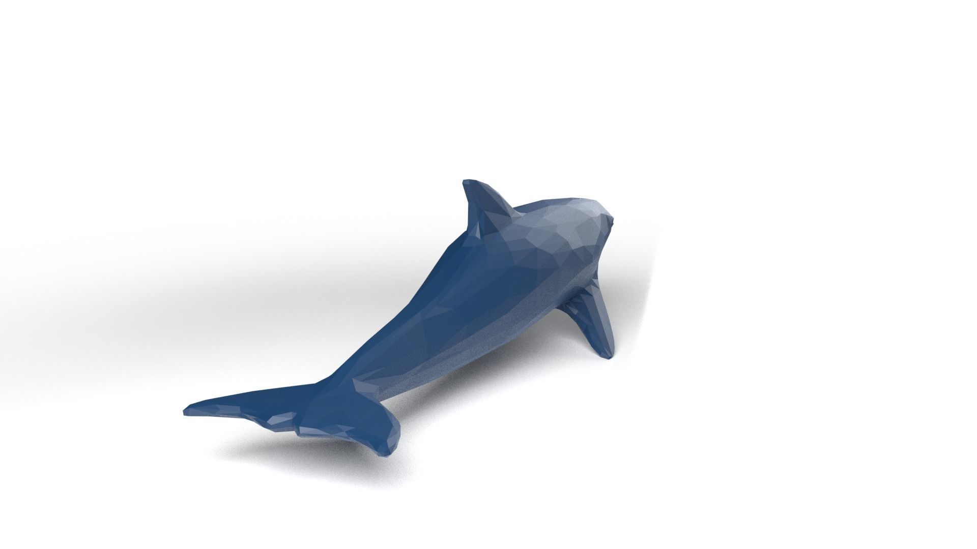 3D model Dolphin Low Poligonal VR / AR / low-poly | CGTrader