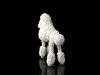 3D model Poodle Minecraft Voxel VR / AR / low-poly | CGTrader