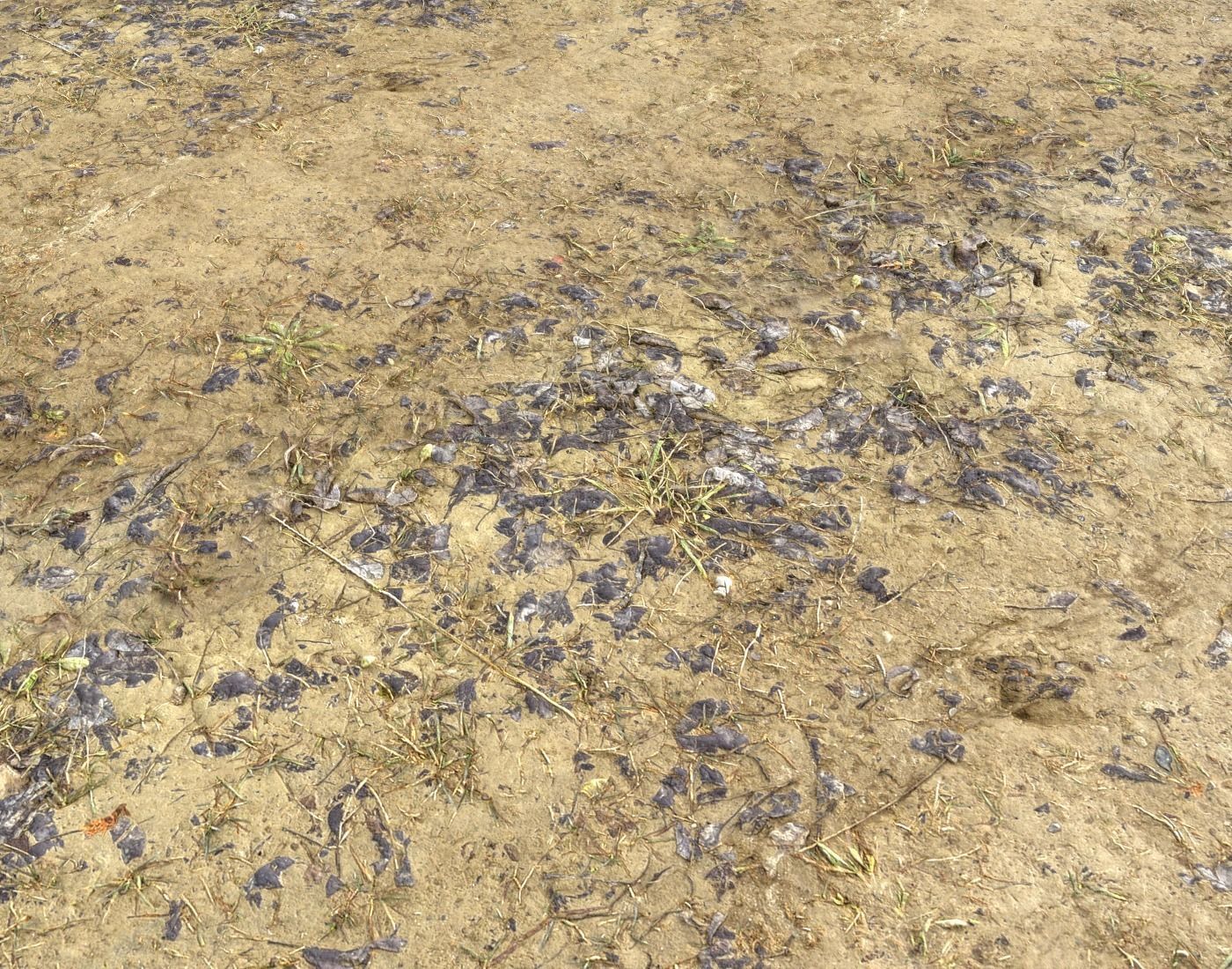 Muddy terrain PBR pack 1 Texture | CGTrader