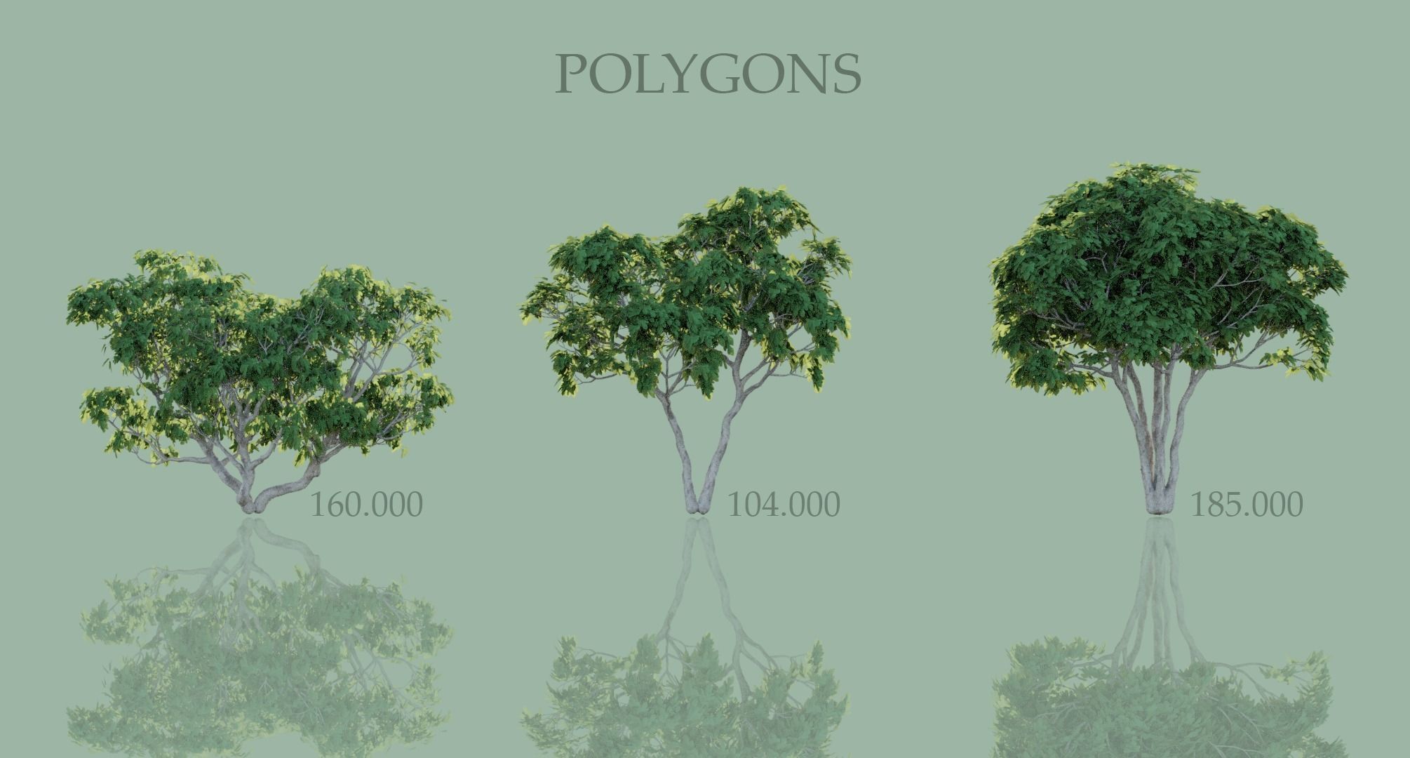 Ficus Tree 3D model | CGTrader