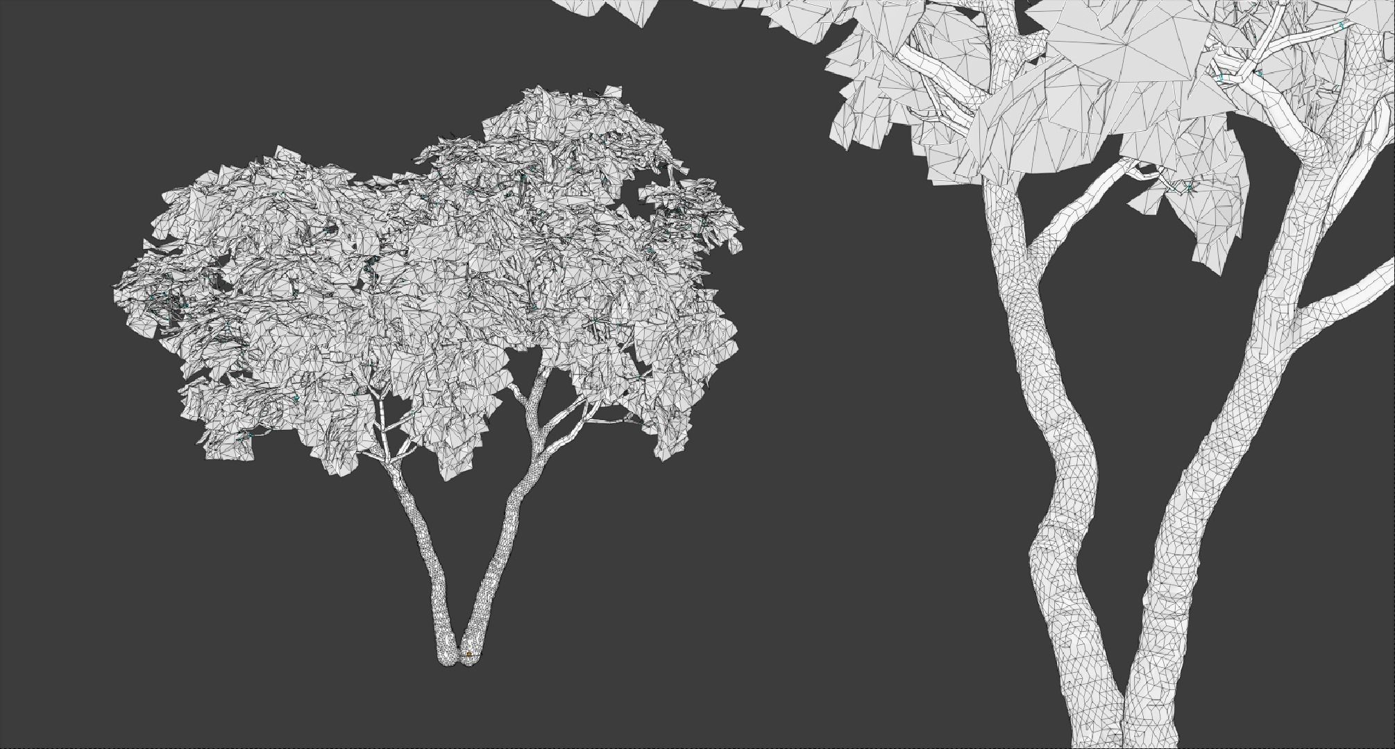 Ficus Tree 3D model | CGTrader