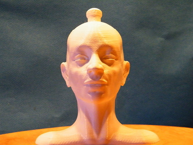 MEMORY HEAD 3D model 3D printable | CGTrader