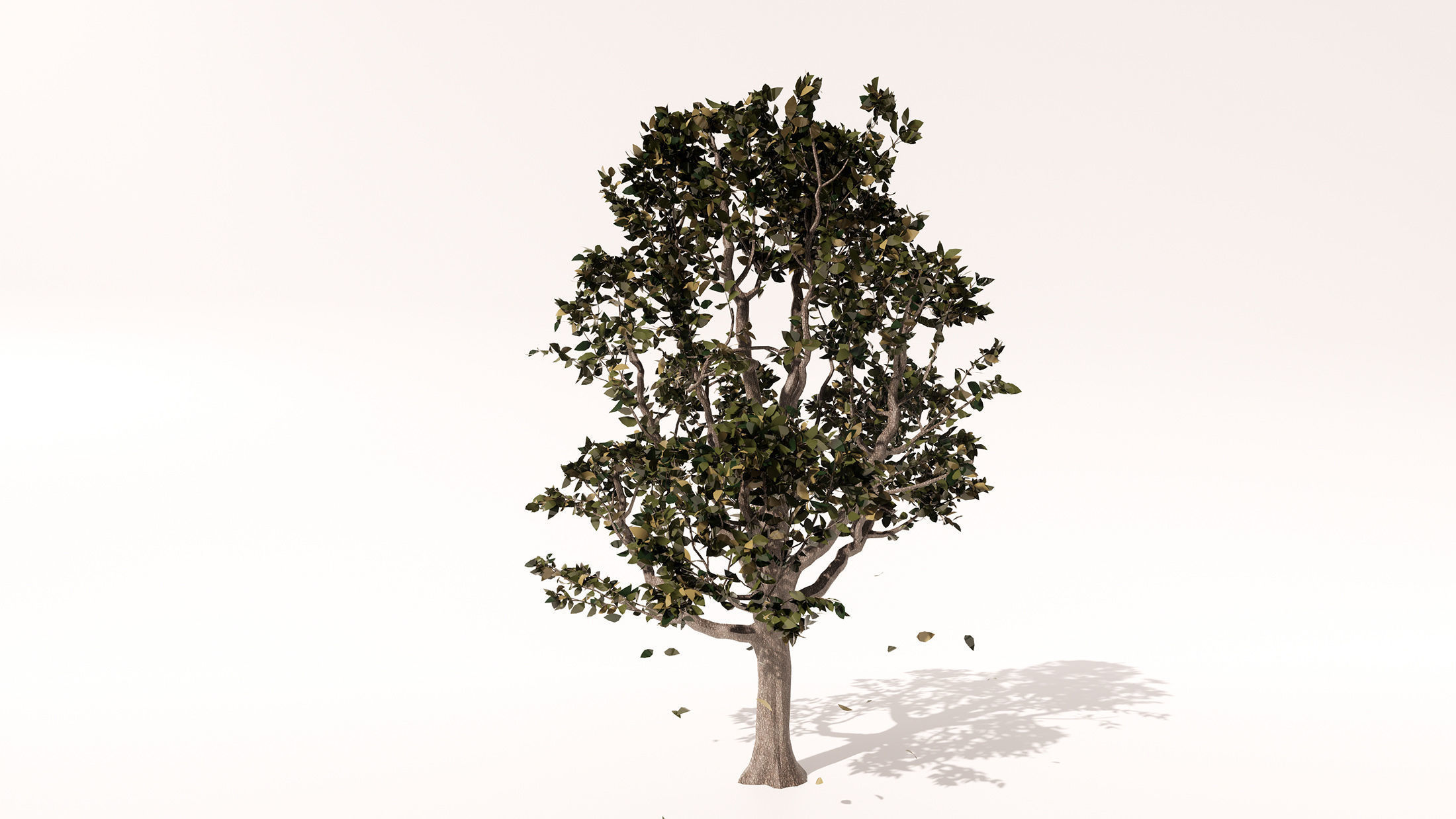 Revit scalable and detailed tree arquitree22 detailed 3D model | CGTrader