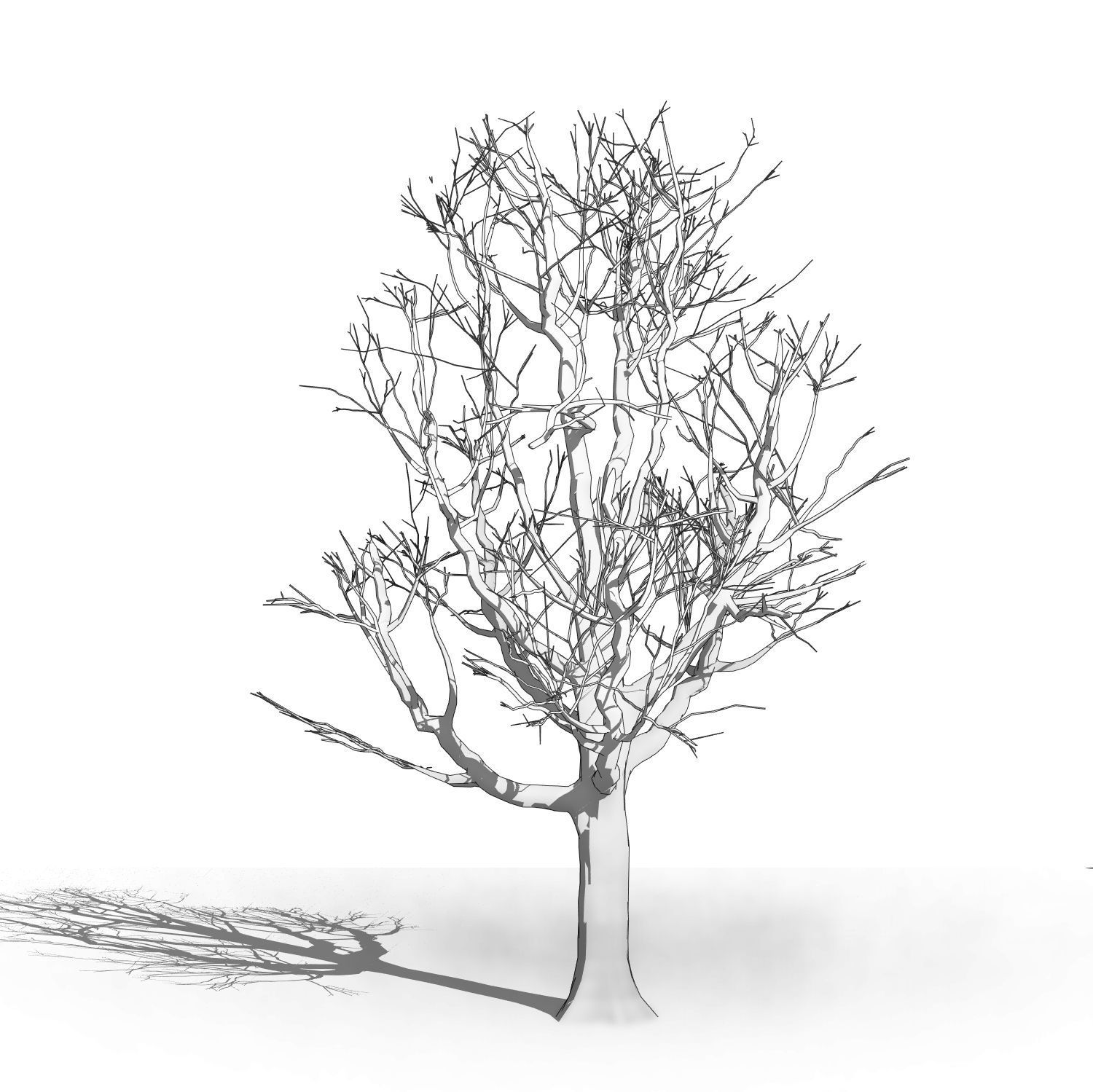 Revit scalable and detailed tree arquitree22 detailed 3D model | CGTrader