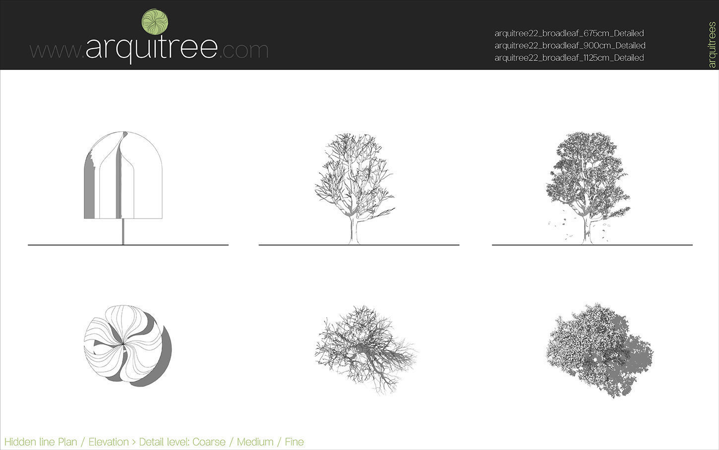 Revit scalable and detailed tree arquitree22 detailed 3D model | CGTrader