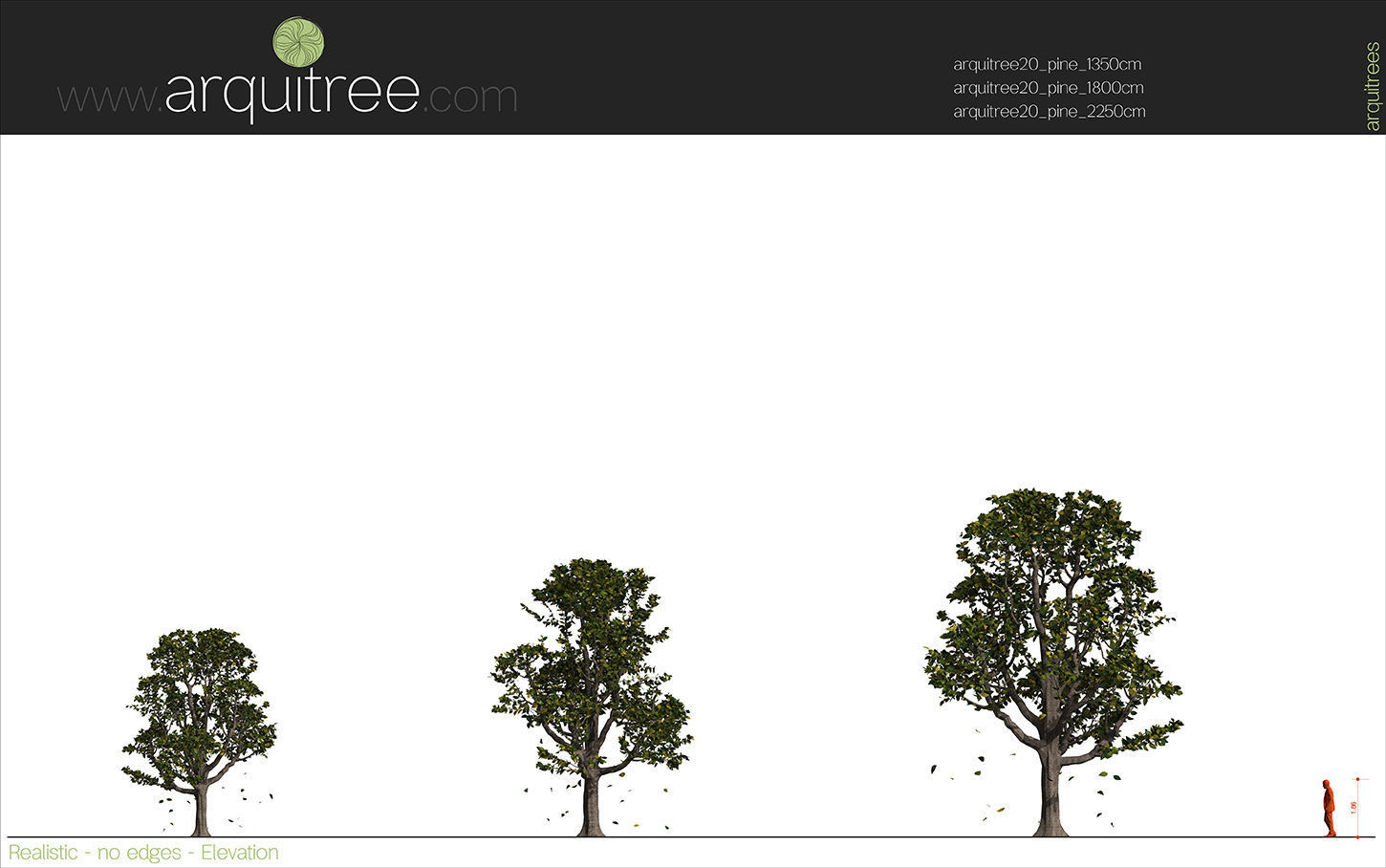 Revit scalable and detailed tree arquitree22 detailed 3D model | CGTrader
