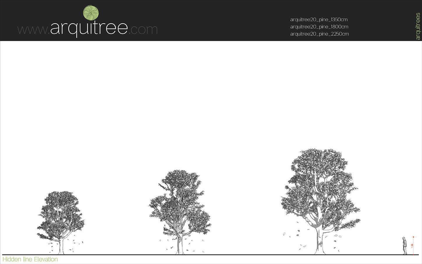 Revit scalable and detailed tree arquitree22 detailed 3D model | CGTrader