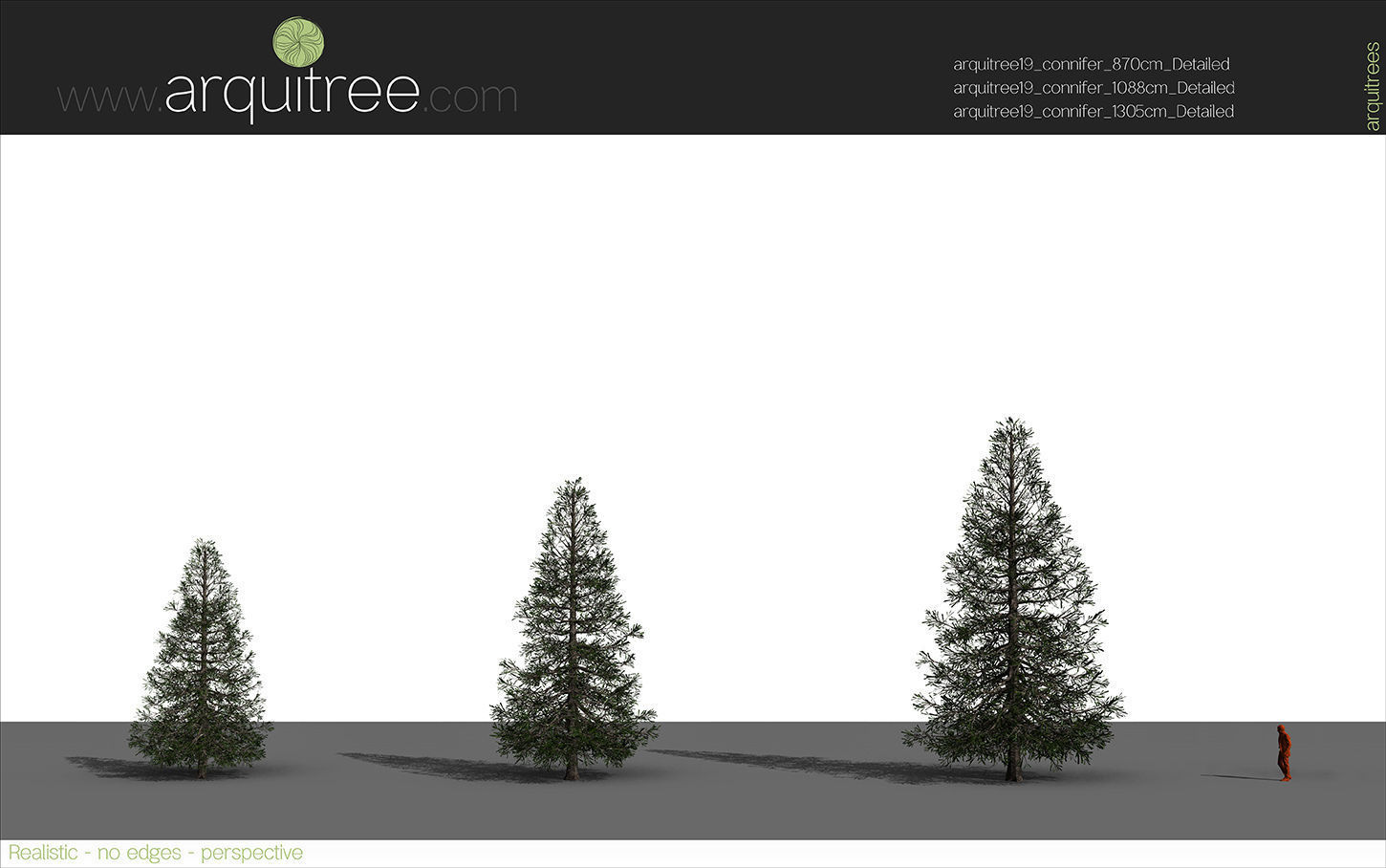 Revit scalable and detailed conifer tree arquitree19 detailed 3D model ...