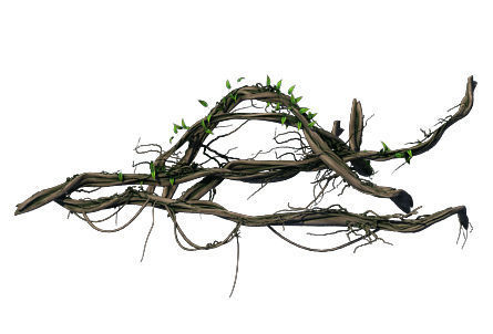 Big Trees - Vines 03 3D model | CGTrader