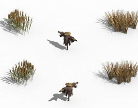 Paddy 3D Models | CGTrader