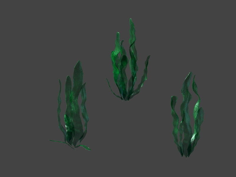Game model - seabed - kelp 3D model | CGTrader