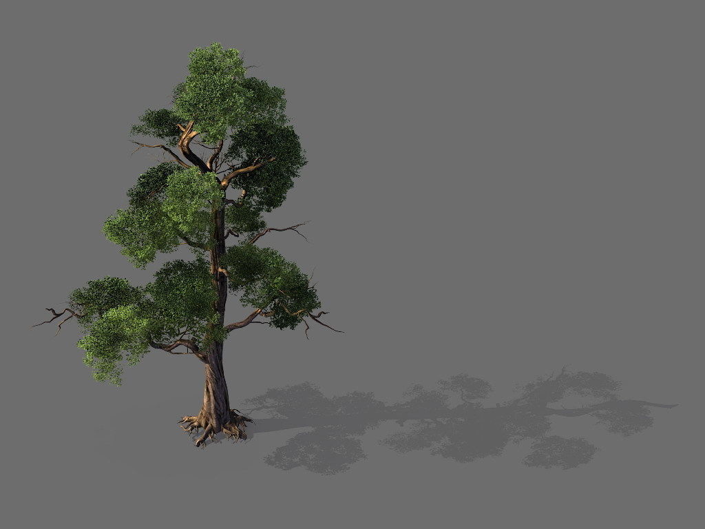 Game Model - Forest - Tree 11 3D model | CGTrader
