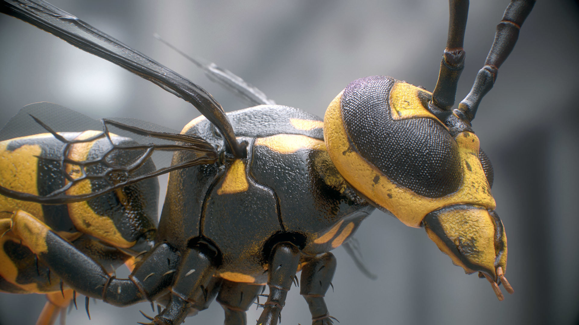 3D model Wasp rigged PBR VR / AR / low-poly rigged | CGTrader