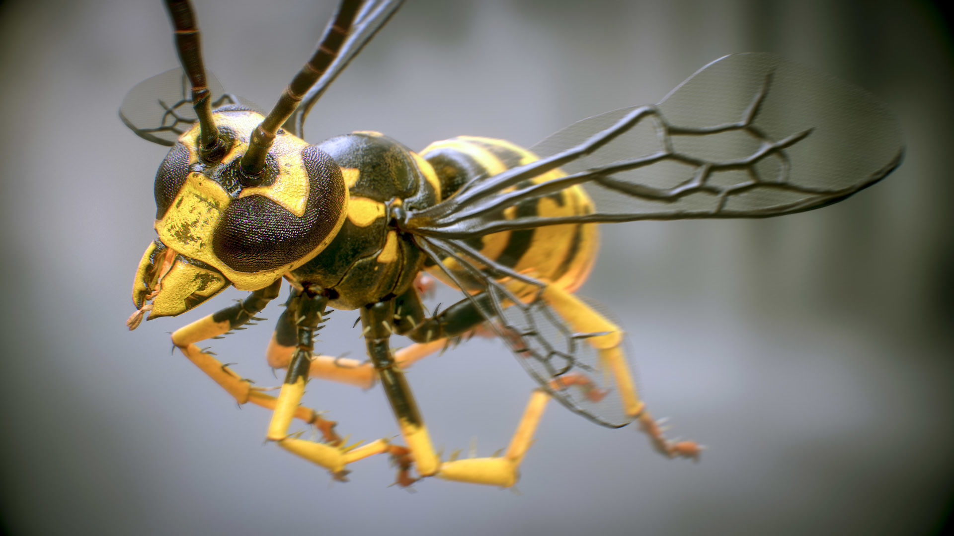 3D model Wasp rigged PBR VR / AR / low-poly rigged | CGTrader