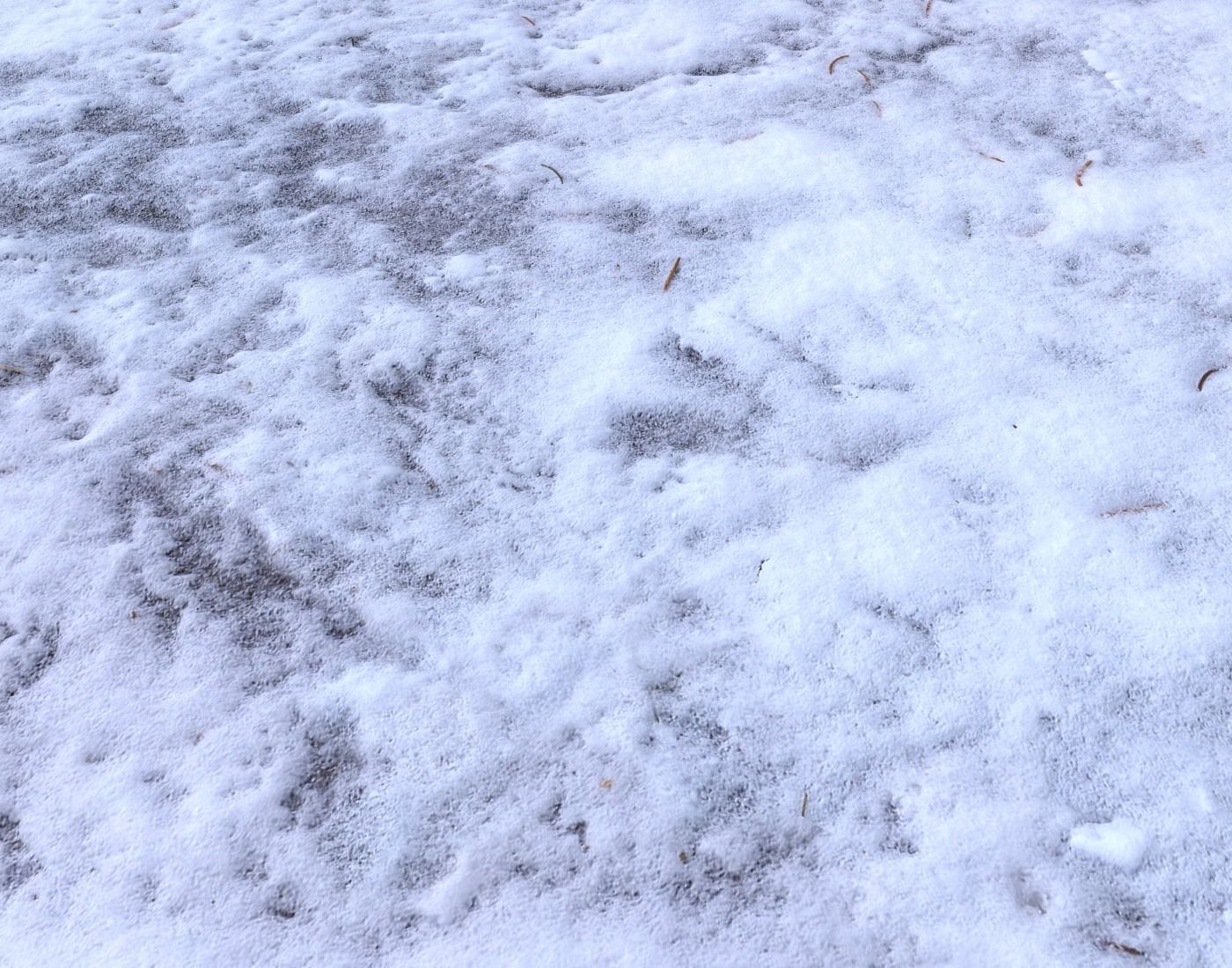 Snow terrain PBR pack 1 Texture | CGTrader