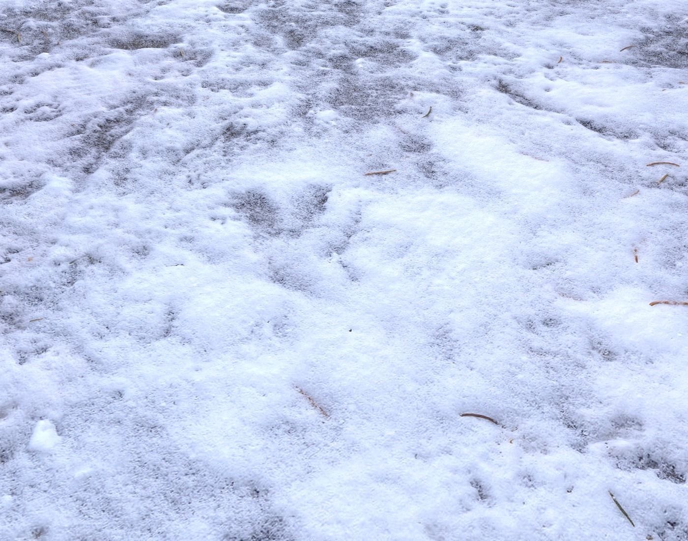 Snow terrain PBR pack 1 Texture | CGTrader