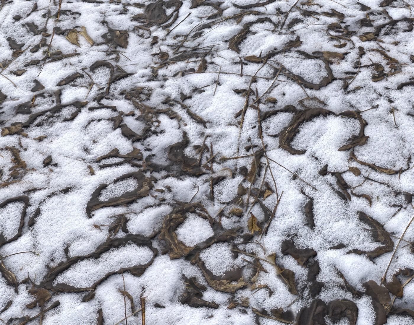 Snow terrain PBR pack 2 Texture | CGTrader