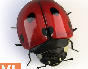 Ladybird 3D Models | CGTrader
