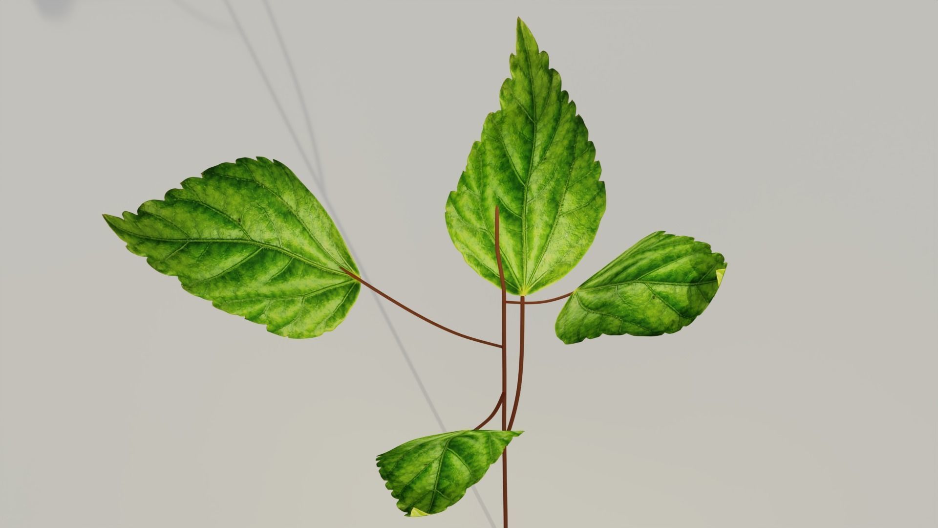 3D model twig with leaves VR / AR / low-poly | CGTrader
