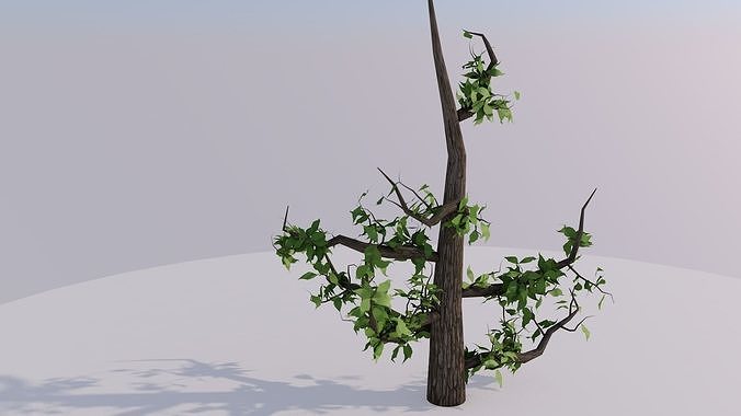 Growth Tree free 3D model animated | CGTrader