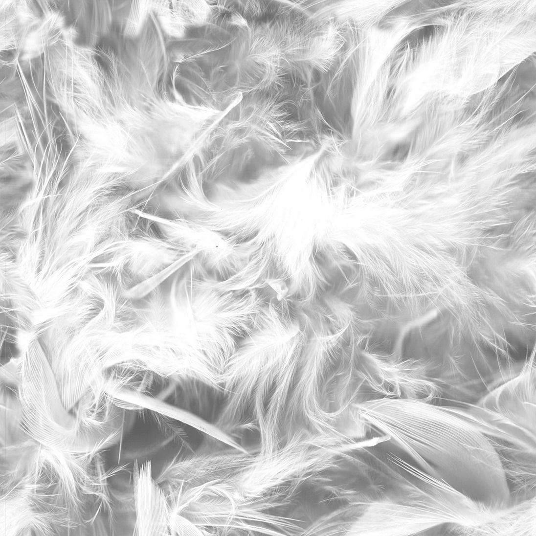 feather PBR material free VR / AR / low-poly 3D model | CGTrader