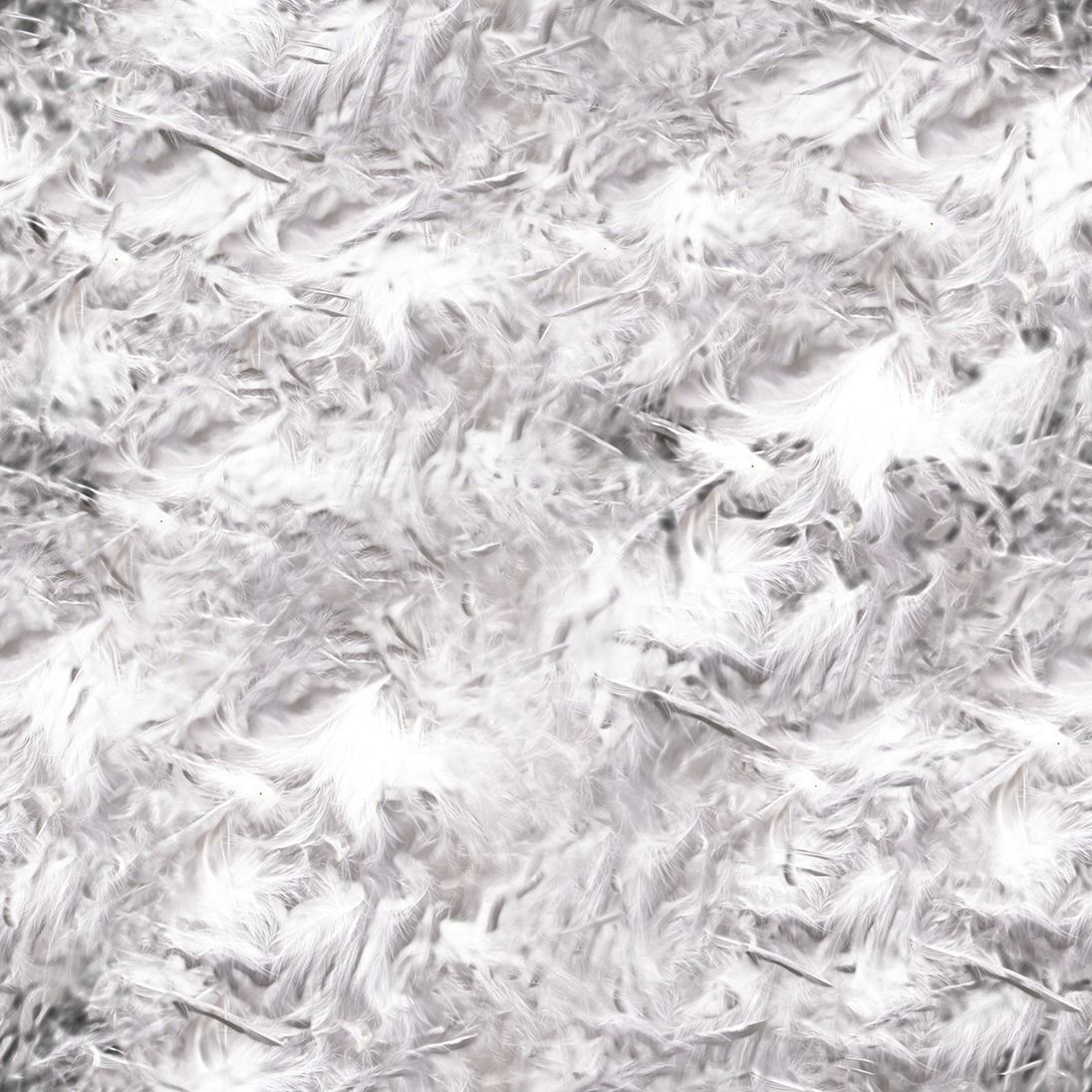 feather PBR material version2 free VR / AR / low-poly 3D model | CGTrader